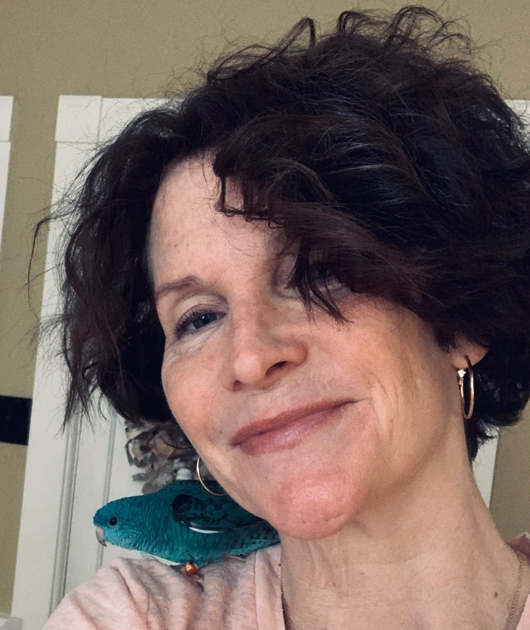 Trusted Prairians - Modern Prairie