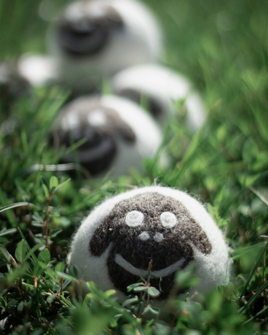 New Arrivals - Modern Prairie